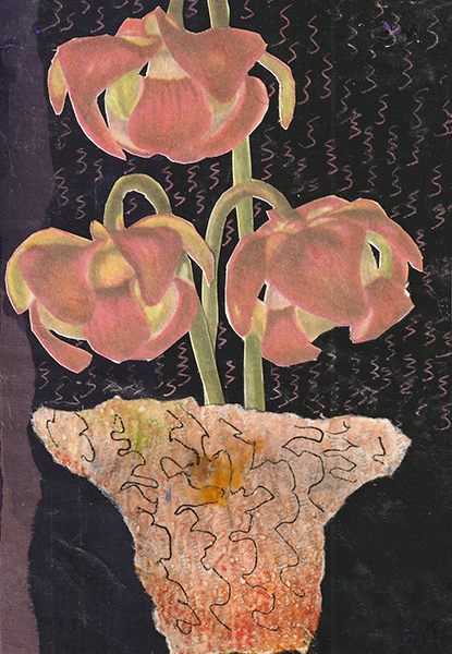 Northwest Collage Society Gallery